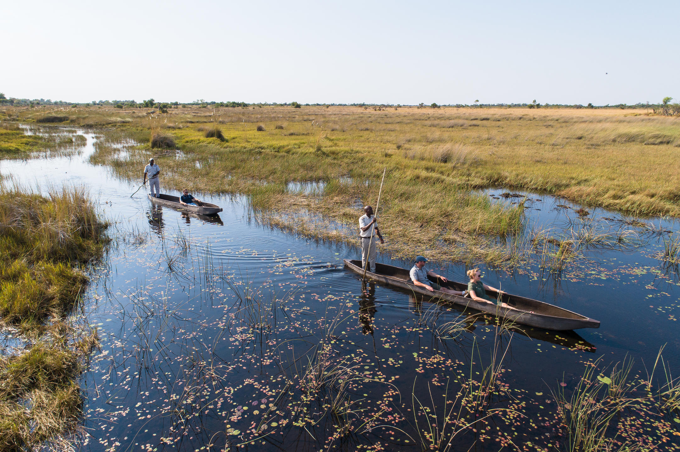 4-Day Okavango Delta and Moremi Safari Tour Experience